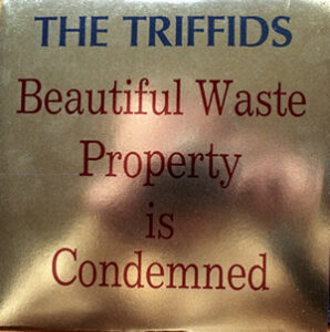 Postpunkklassieker du jour: Beautiful waste – Krapuul